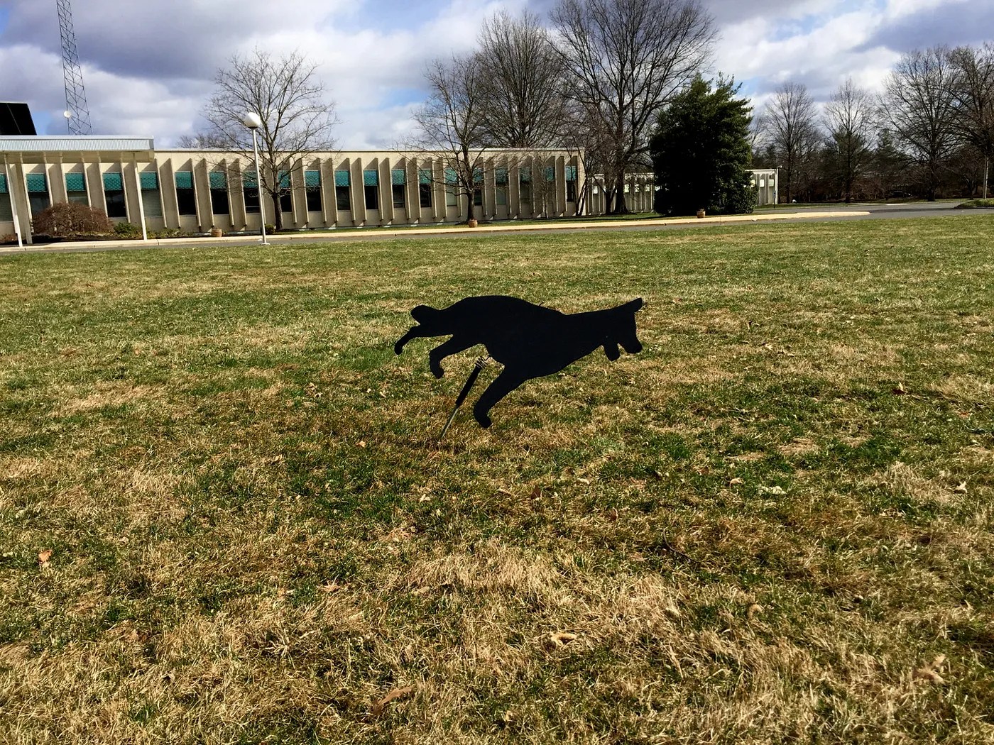 Where is the Fox? – Christopher Sung